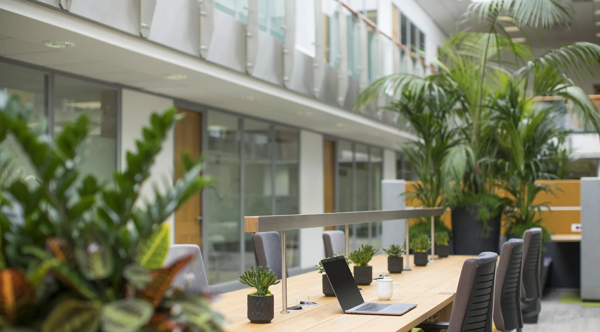 Partner With Novi - Novi